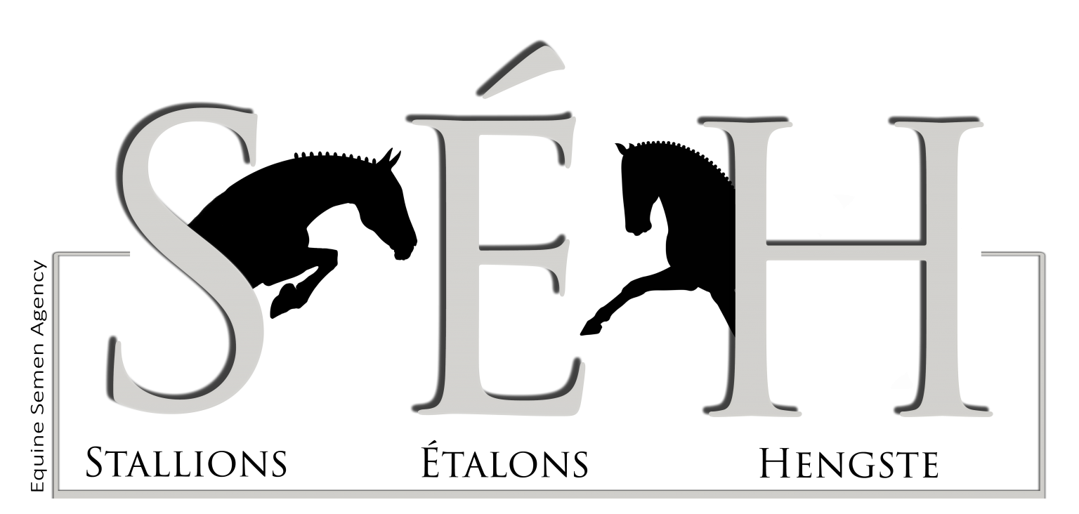 Our Expertise - Stallions.Étalons.Hengste