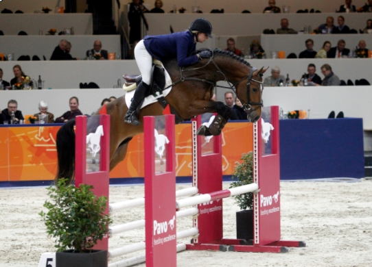 Kitt SB - Stallions.Étalons.Hengste