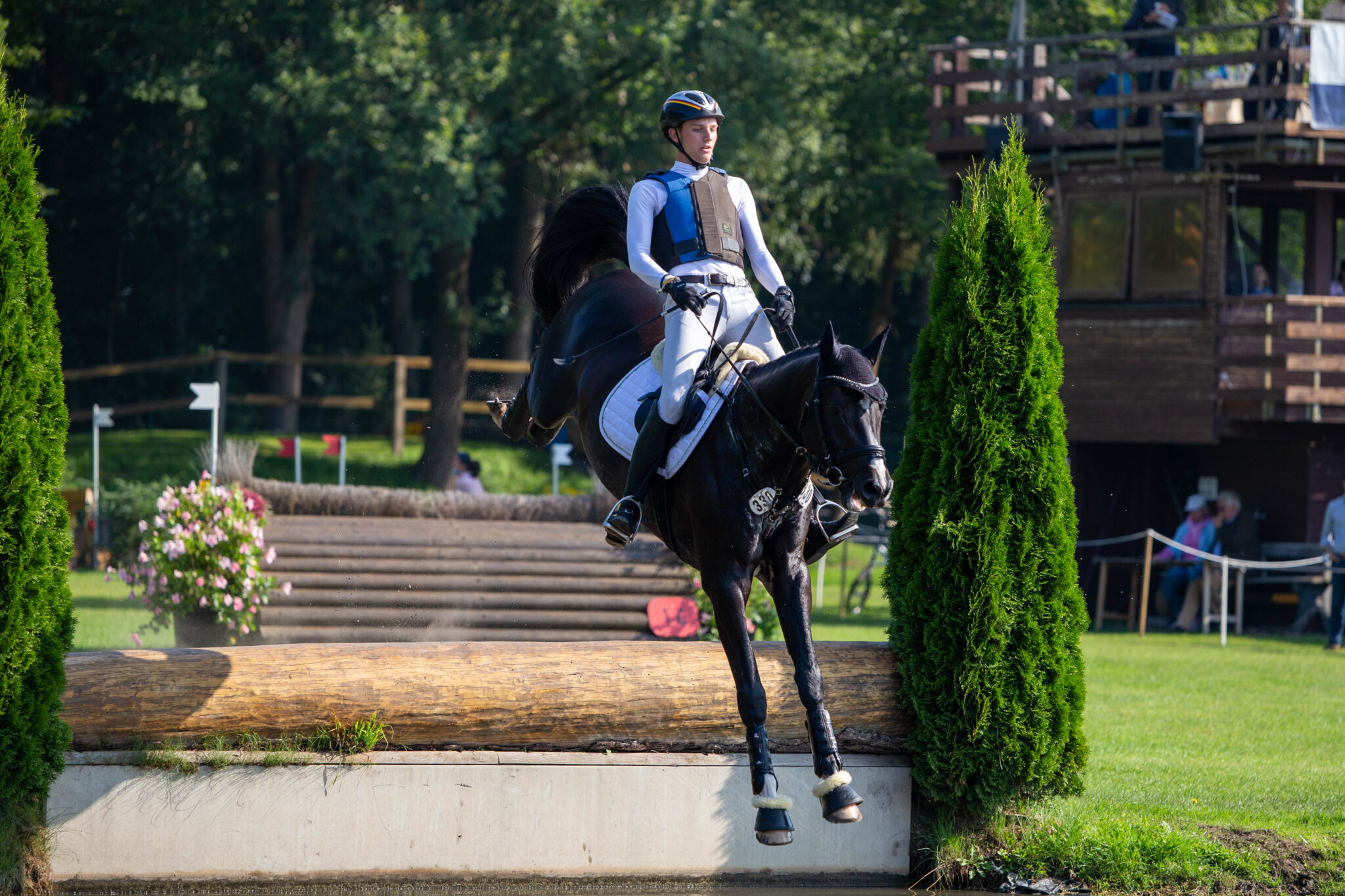 Duplexx - Stallions.Étalons.Hengste