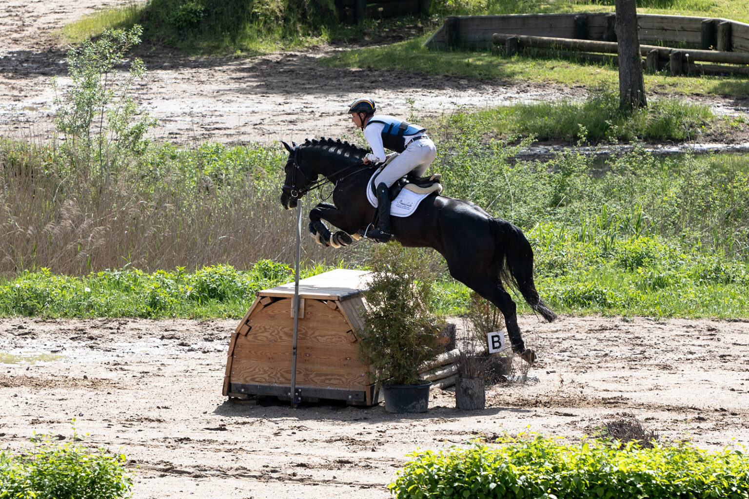 Duplexx - Stallions.Étalons.Hengste