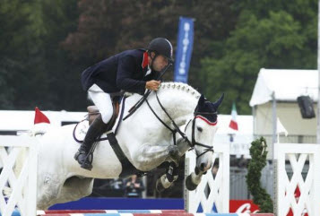 Cevin Z - Stallions.Étalons.Hengste