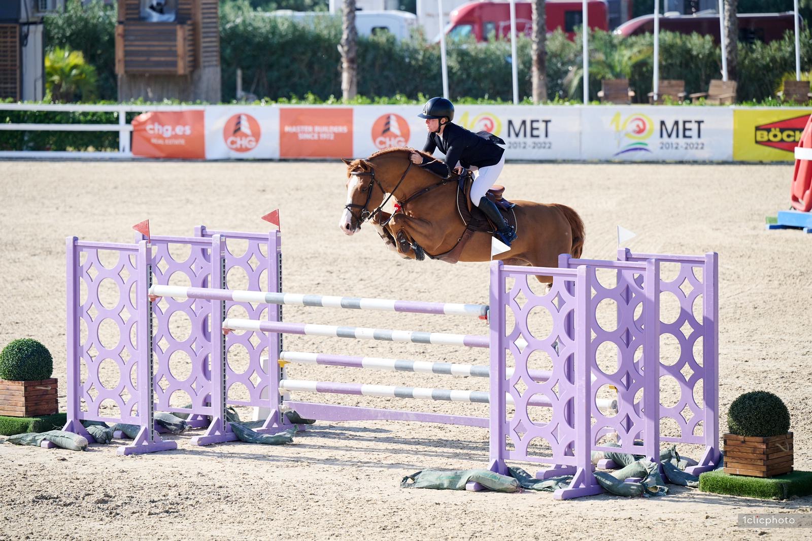 Stallions.Étalons.Hengste I Am A Harley